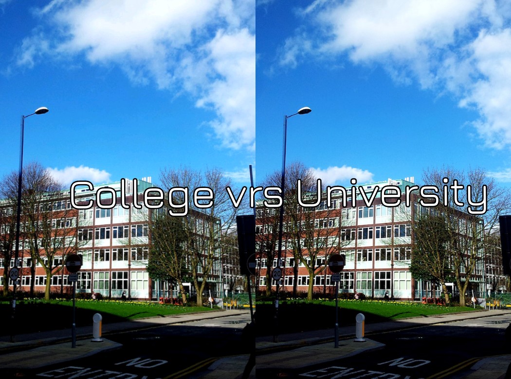 What Is The Difference Between College And University? - Blow Grade